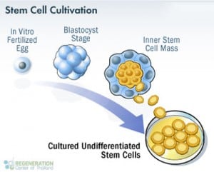 Human Cell Culturing For Propagation of Tissue