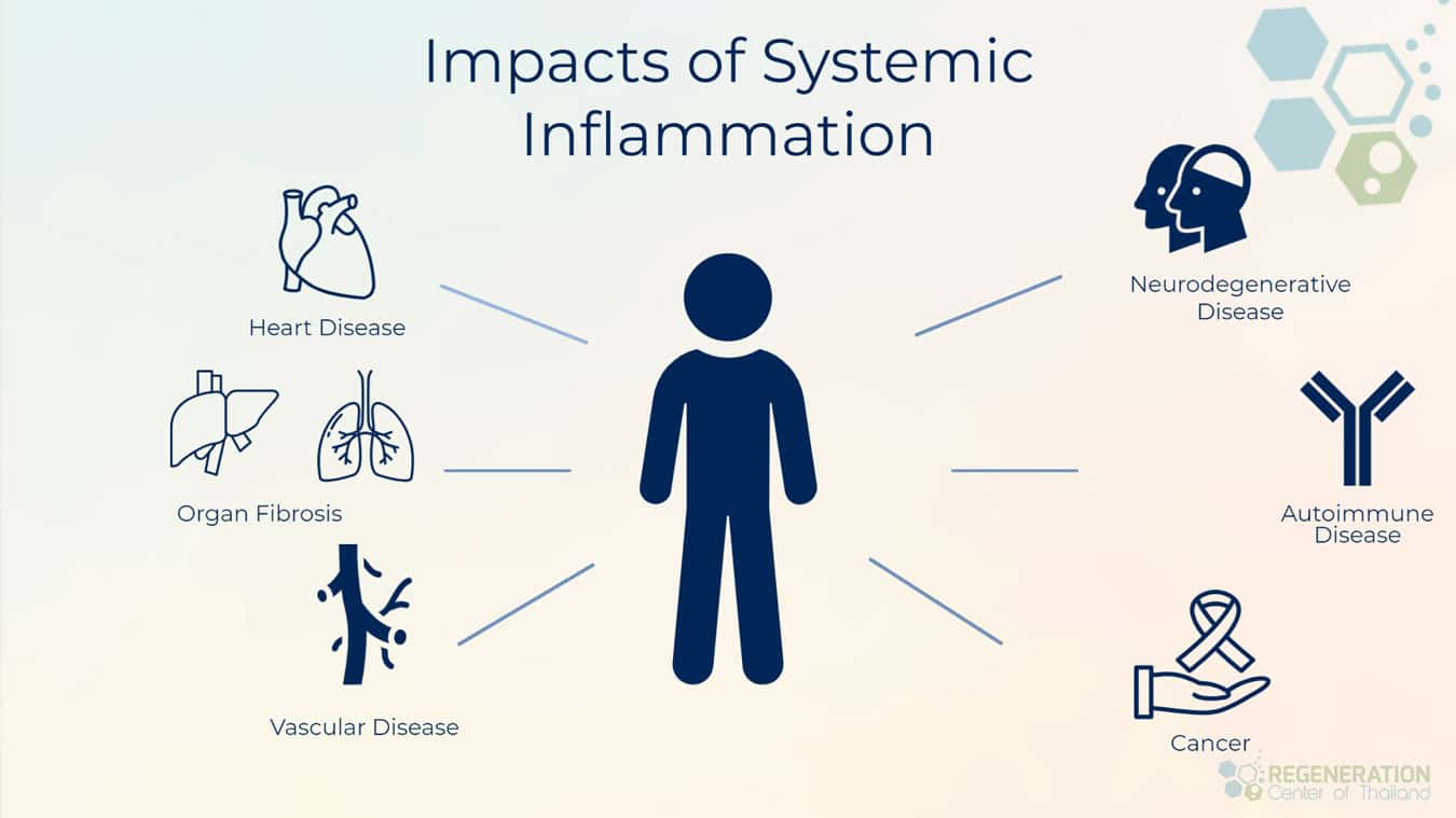 A Closer Look at Inflammation: Natures Healing Response