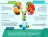 Top 12 Best Foods for Managing Kidney Disease - A Renal Diet