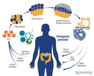 CAR-T Cell Immunotherapy & Stem Cells for Colorectal Cancer