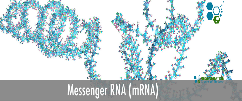 Advantages & Future Applications of mRNA Technology