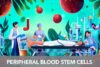 Unlocking the Potential of Peripheral Blood Stem Cells