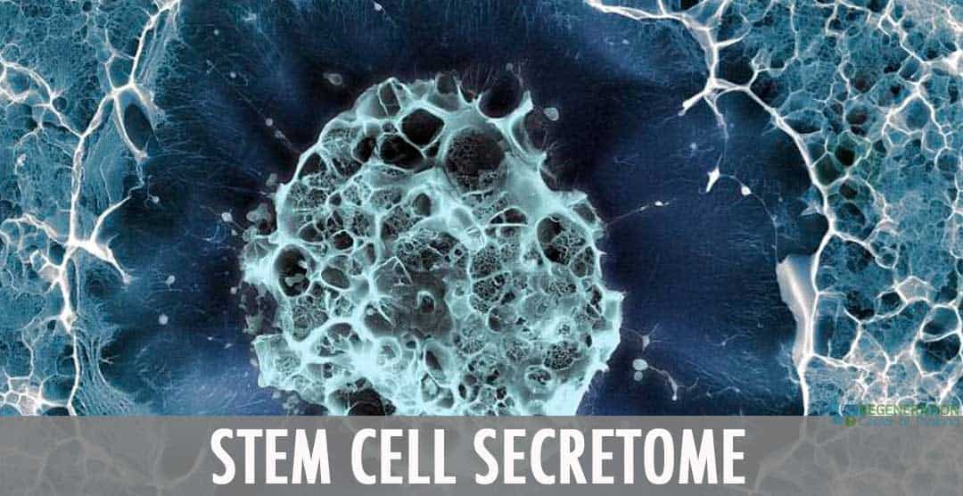 Regenerative Medical Center for Stem Cell Treatments MSC+ Cells